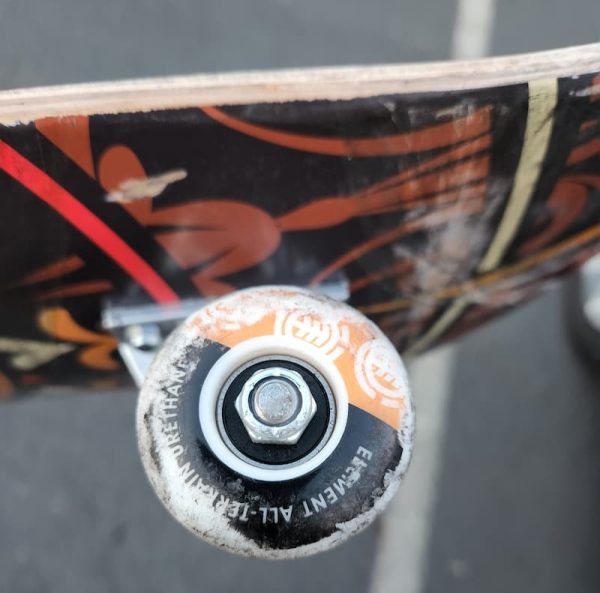 Element Skateboards Complete Setup Review - Board of the World