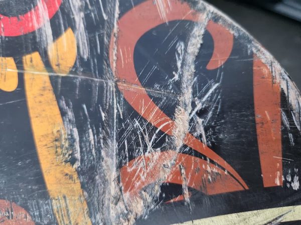 Element Skateboards Complete Setup Review - Board of the World