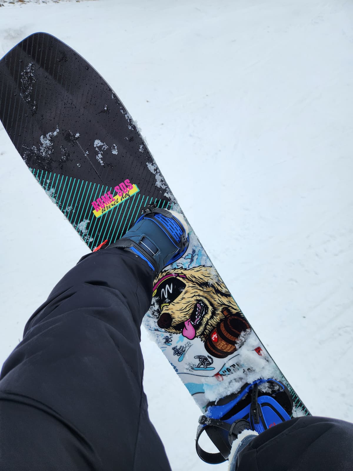 Rome Service Dog Snowboard Review - Board of the World