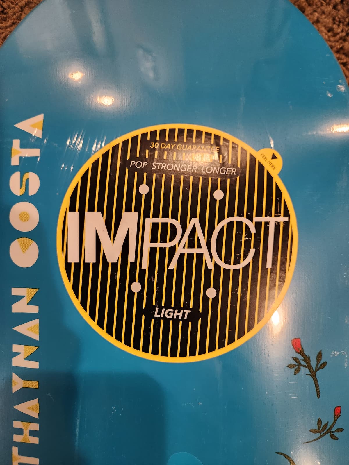 Enjoi Impact Light Skate Deck Review - Board of the World