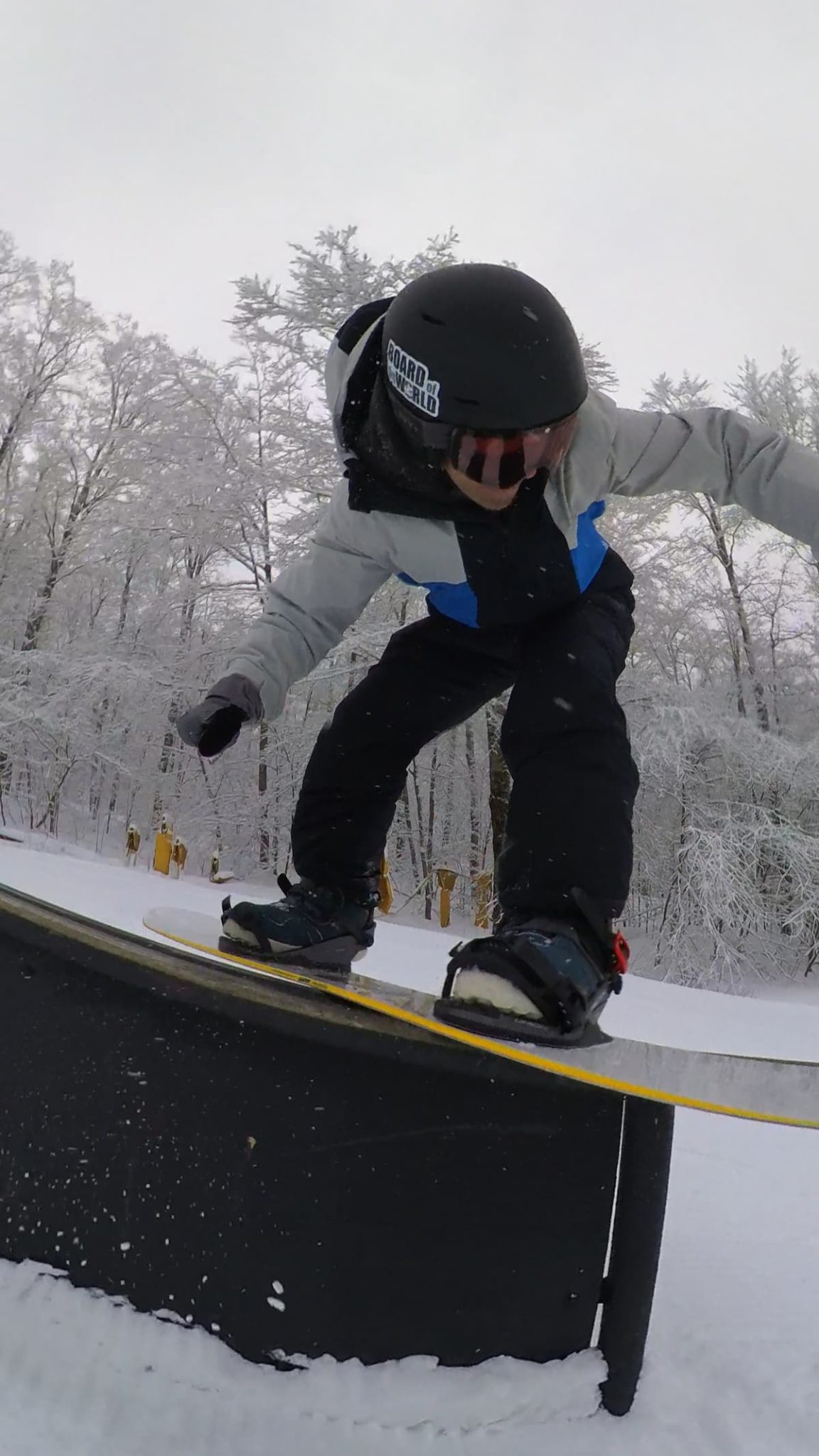 2025 Union Falcor Bindings Review: Upgrade or Skip? - Board of the World