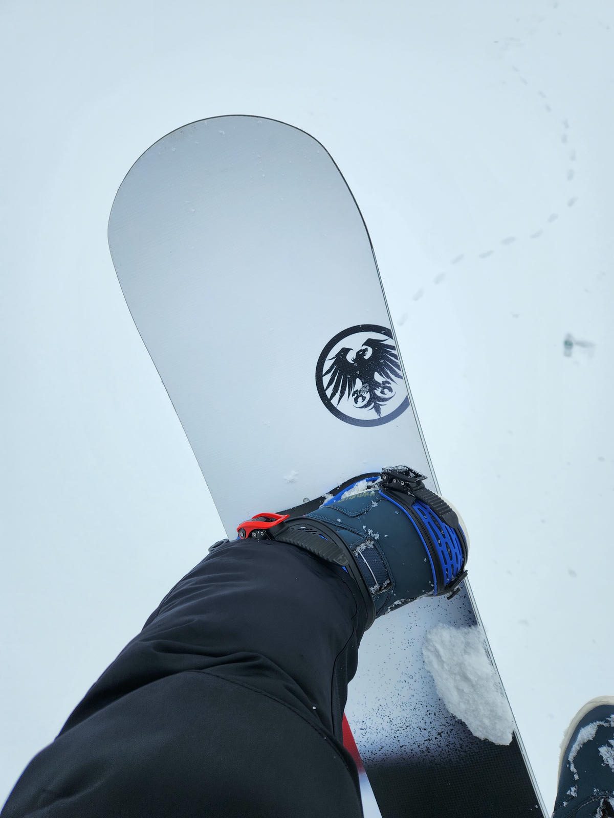 Never Summer Proto Synthesis 2025 Review - Board of the World