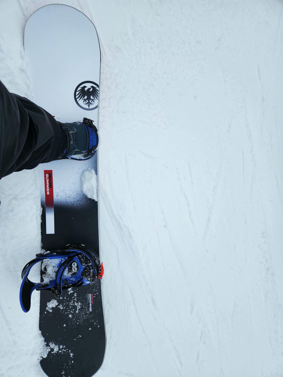 Never Summer Proto Synthesis 2025 Review - Board of the World