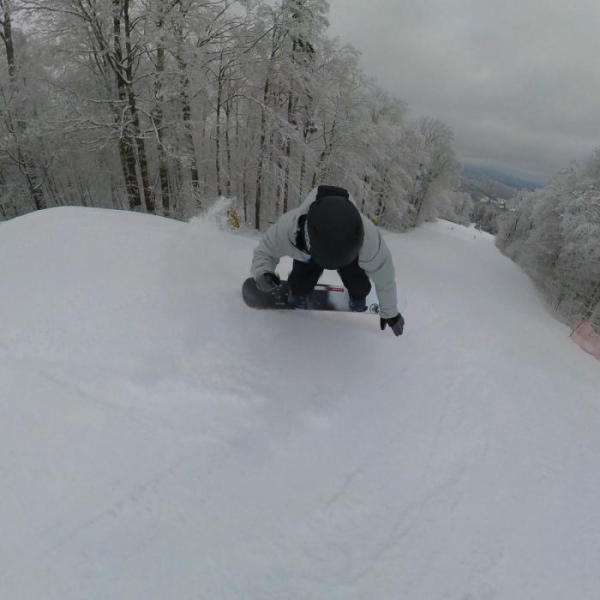 Never Summer Proto Synthesis 2025 Review - Board of the World