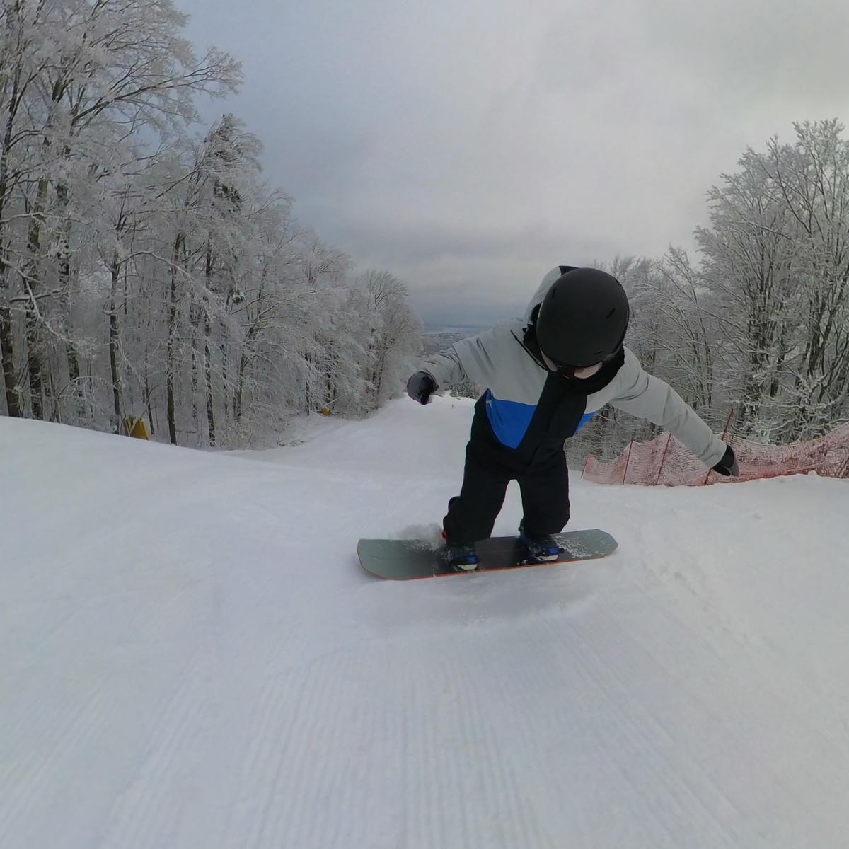 2025 Bataleon Disaster Plus Review: The Ultimate Jib Board for Rope Tow ...