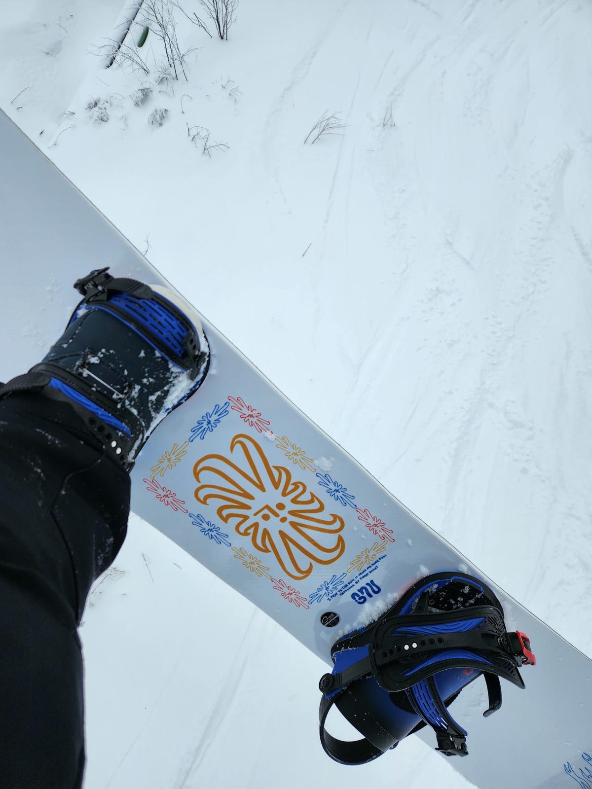 GNU Head Space Review 2025 | Board of the World