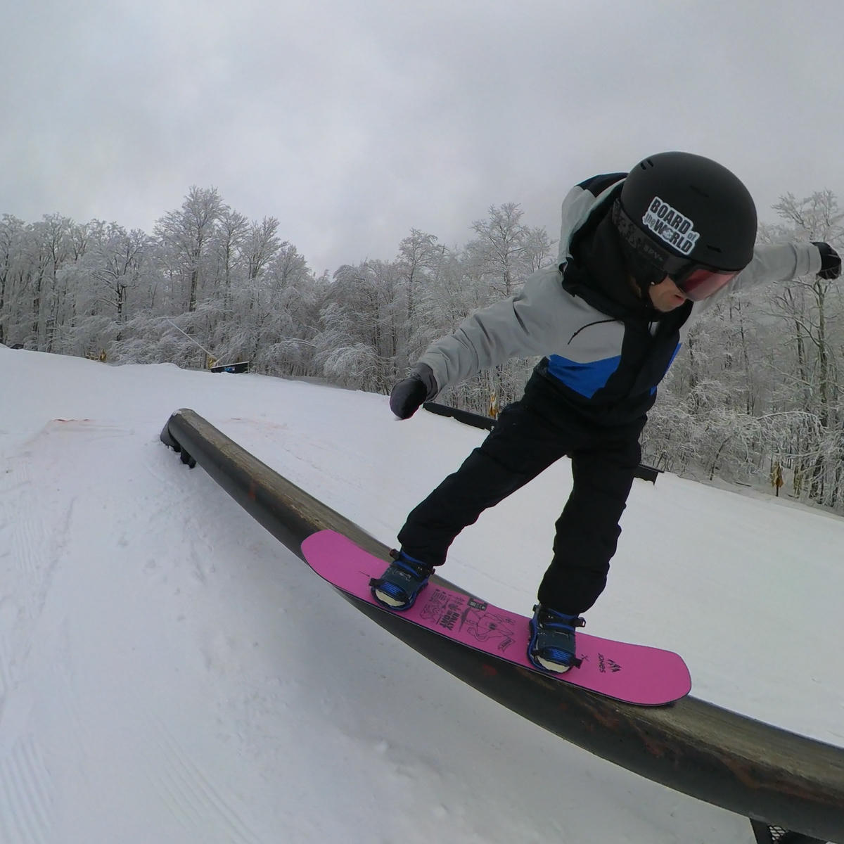 Jones Rally Cat Review: Is It Too Playful to Rip the Whole Resort ...