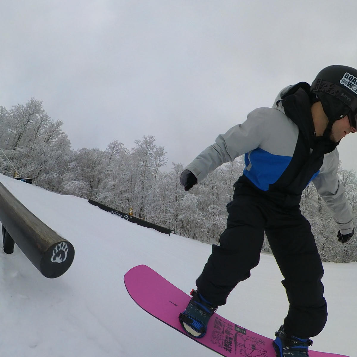 Jones Rally Cat Review: Is It Too Playful to Rip the Whole Resort ...