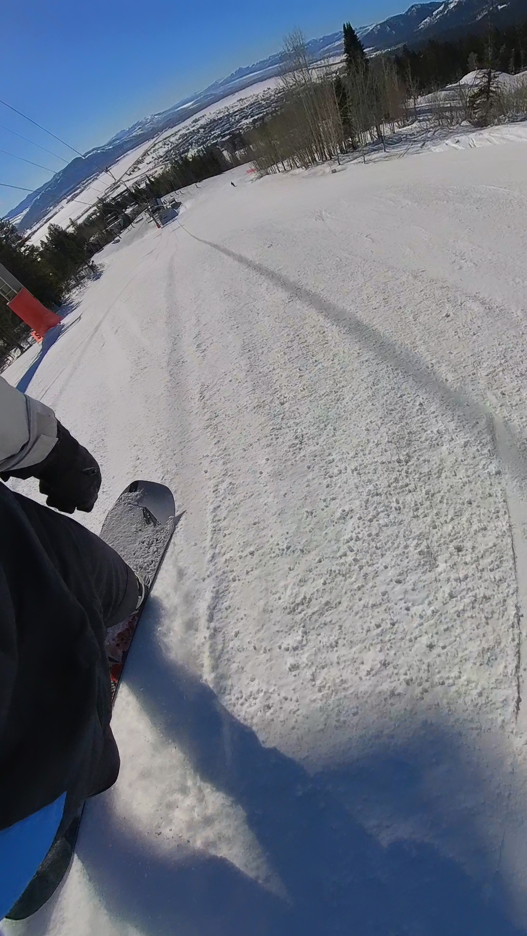 Gilson Bounty Hunter Review: Flat vs. 3D — Which Base Is Better ...